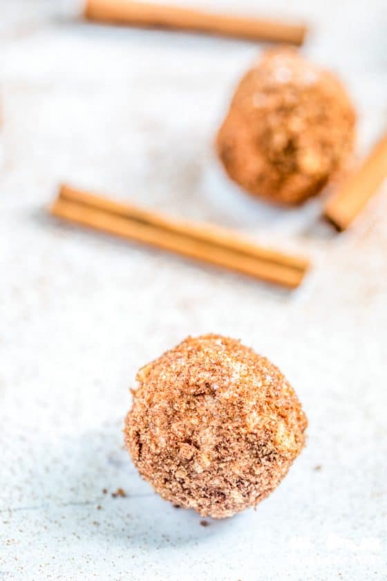 Cinnamon Churro Fat Bombs | Keto, Low-Carb, THM-S